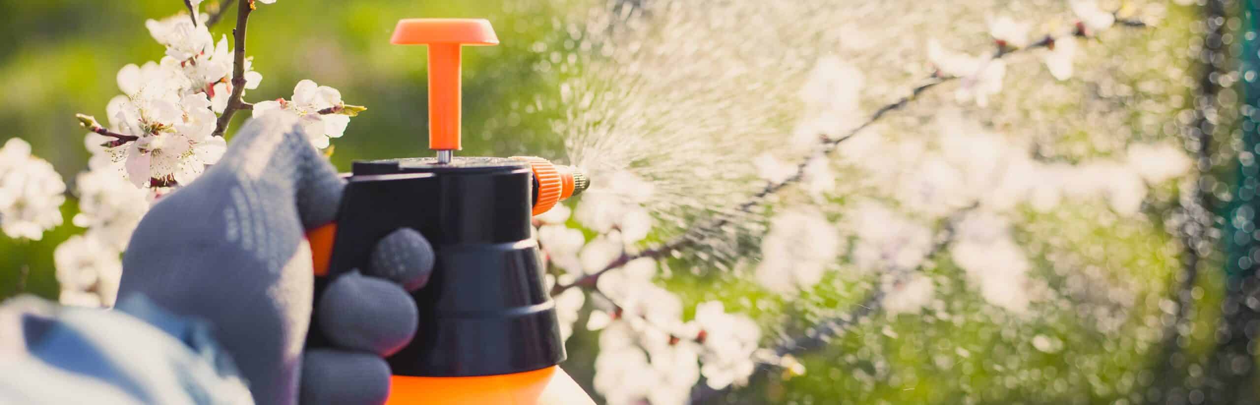 How to Prevent Spring Pests: A Guide From Wake Pest Control | Wake Pest